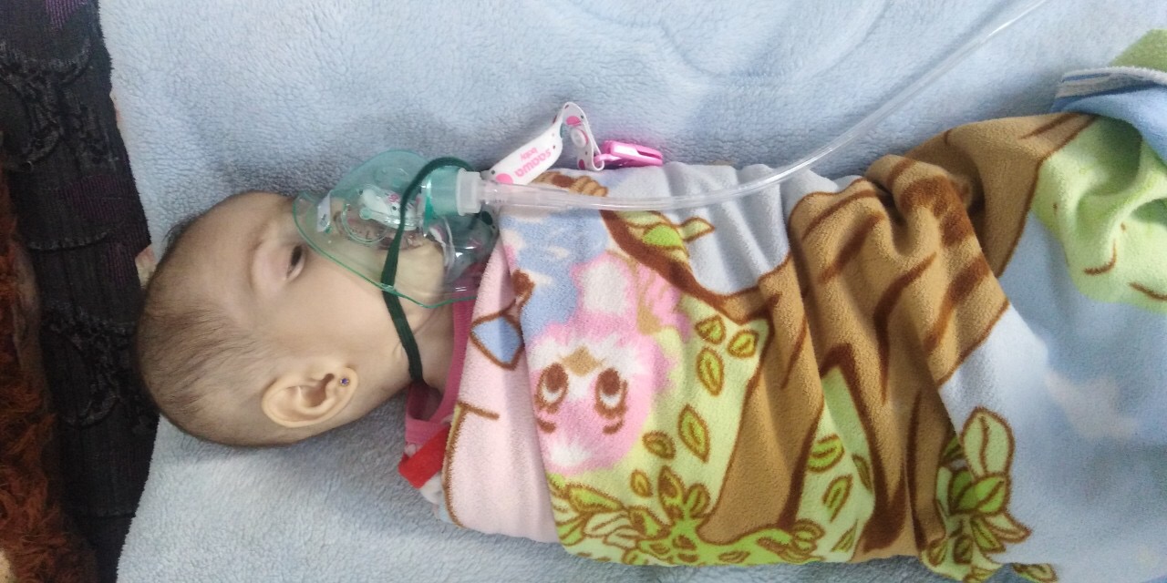 Baby Iman - Love Them All